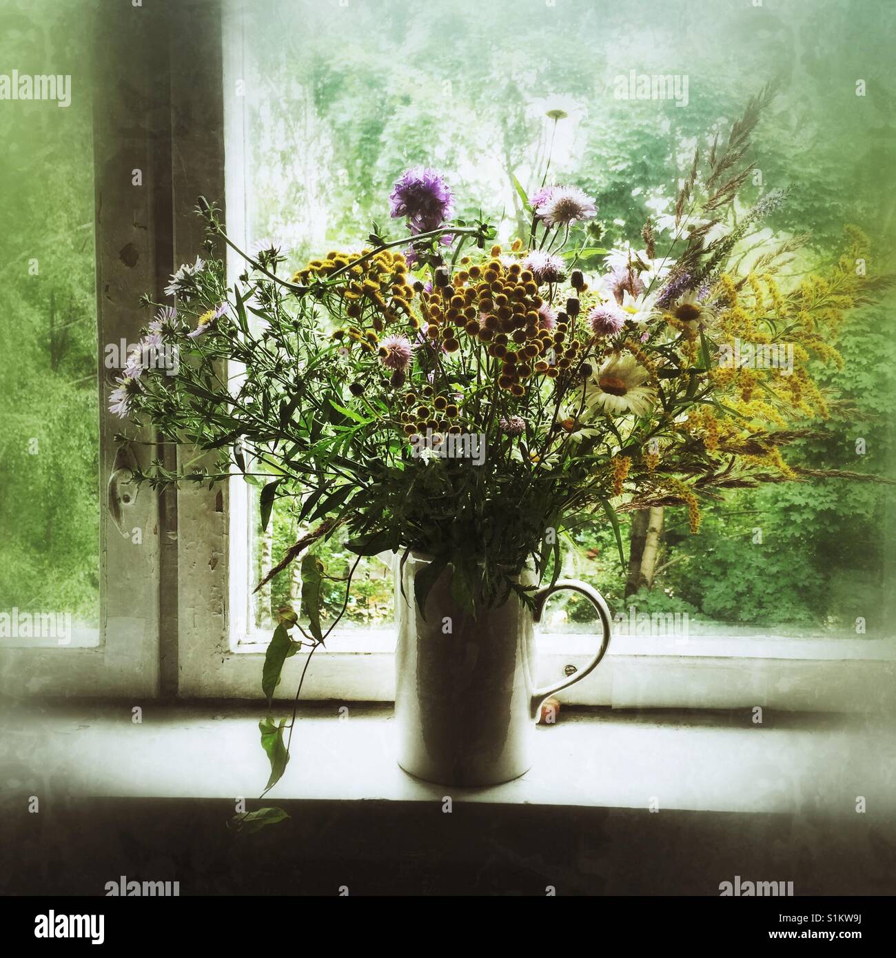 Bouquet of wild flowers on windowsills Stock Photo - Alamy