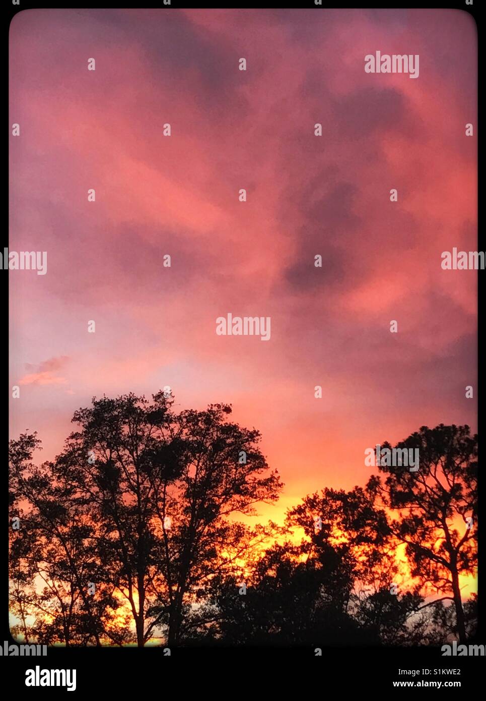 Gold tops hi-res stock photography and images - Alamy