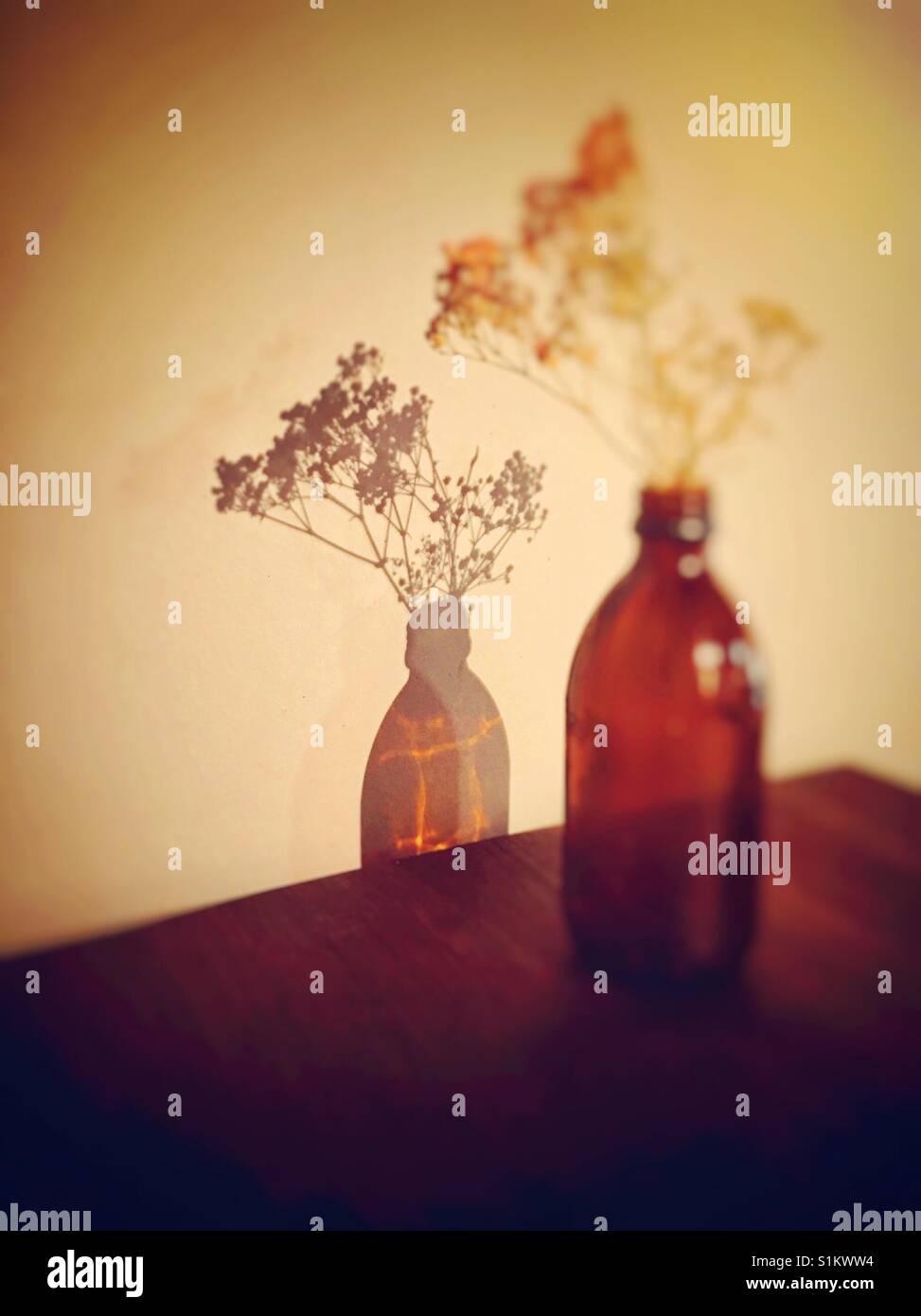 Seeking Truth High Resolution Stock Photography and Images - Alamy