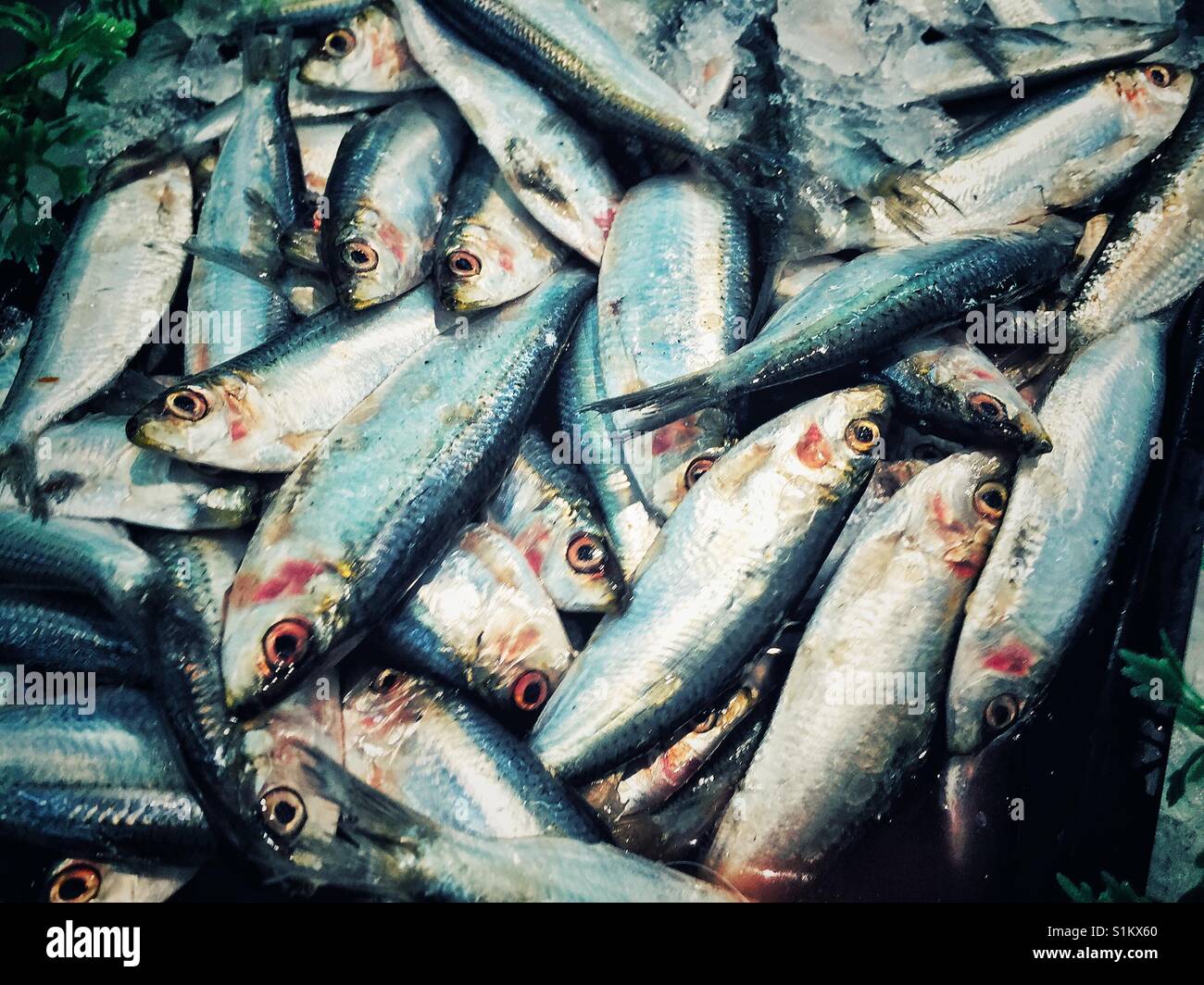 Pile of fish hi-res stock photography and images - Alamy