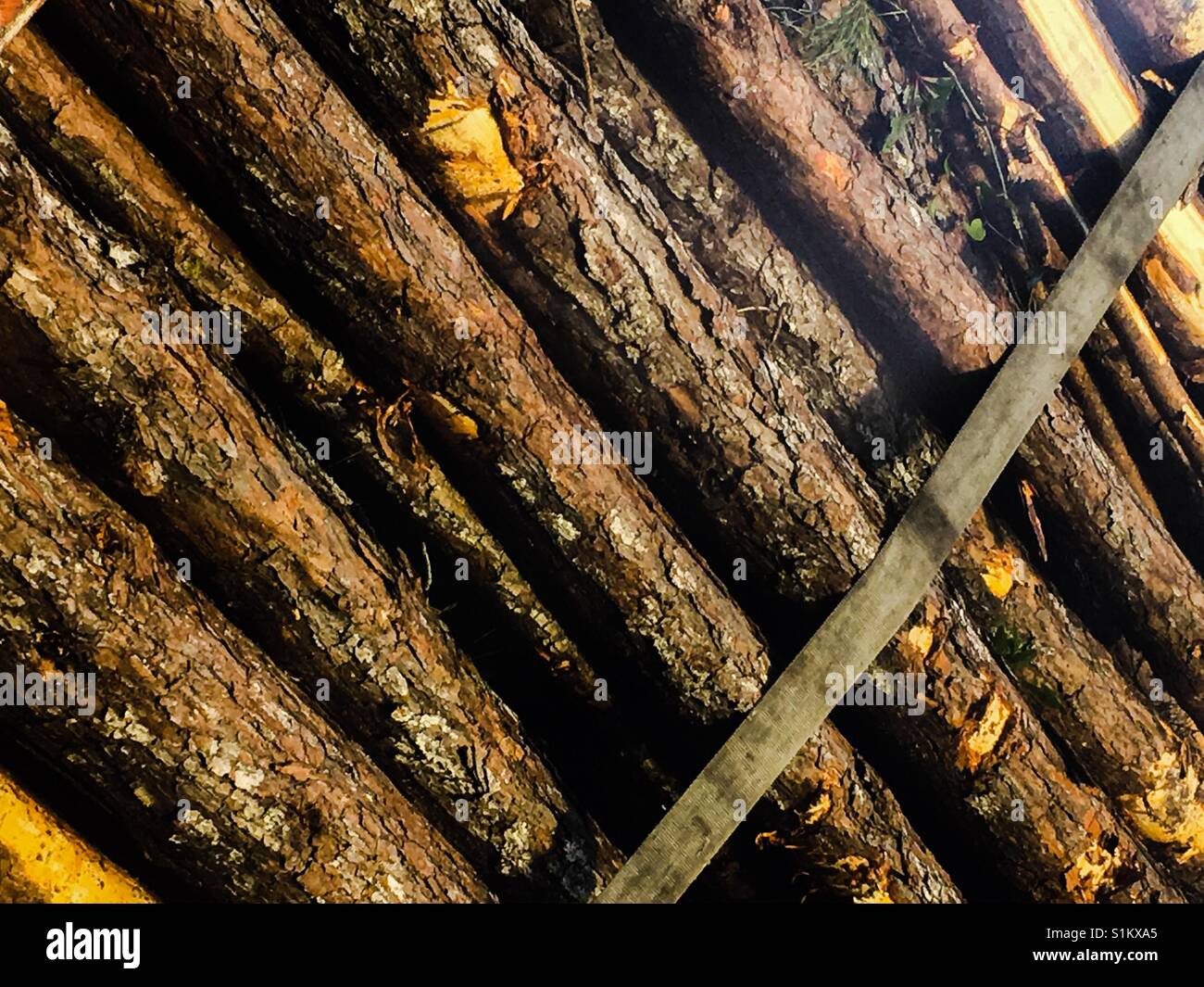 Logging mills hi-res stock photography and images - Alamy