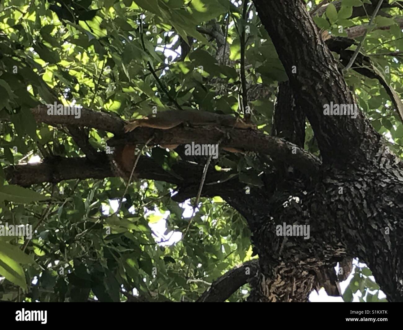 Place of sleep hi-res stock photography and images - Alamy