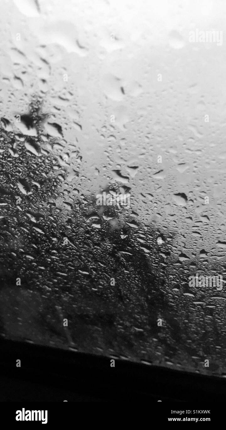 Dew drops my window Stock Photo - Alamy