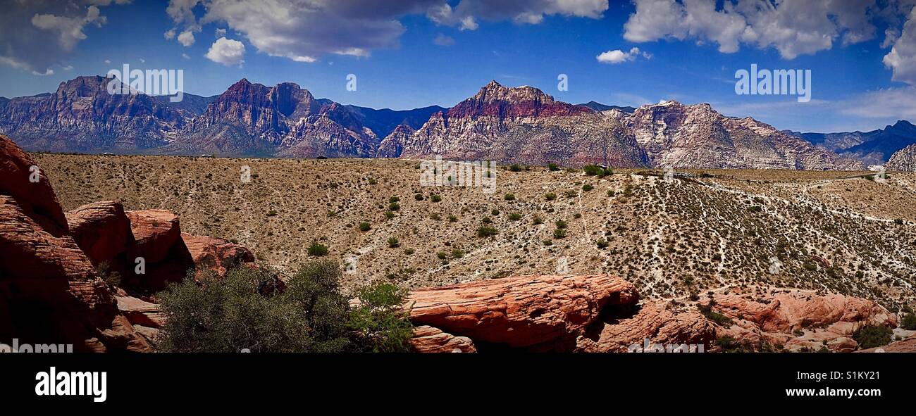 Natures is creation hi-res stock photography and images - Alamy