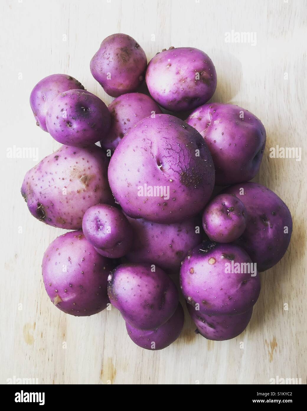 Purple potato harvest Stock Photo - Alamy
