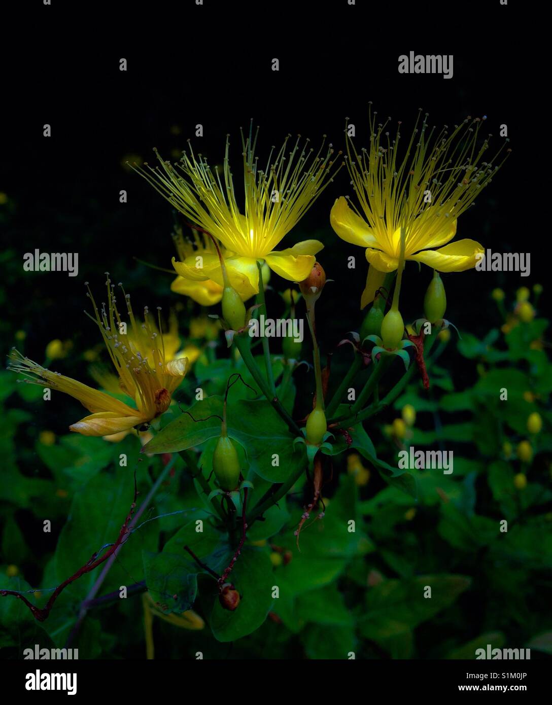 Shapes and forms hi-res stock photography and images - Alamy