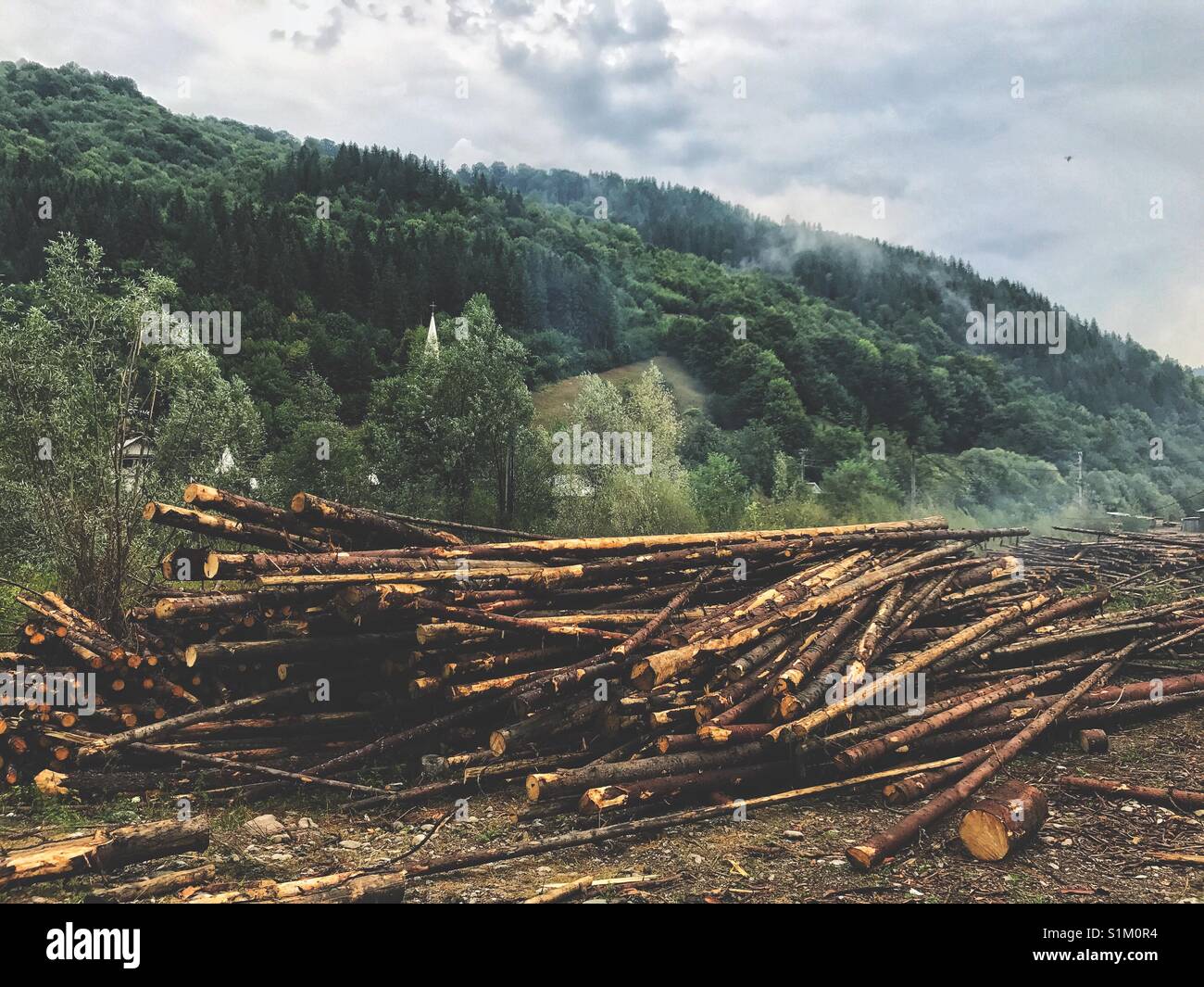 Mountain deforestation hi-res stock photography and images - Alamy