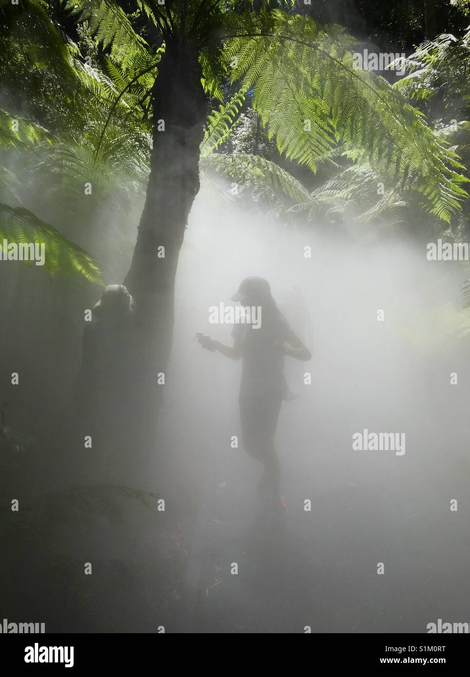 Kids playing in mist of a rainforest Stock Photo - Alamy