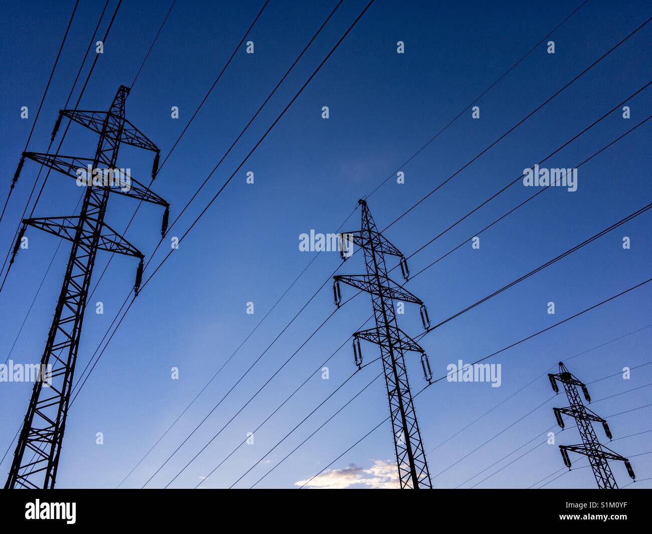 Silhouette of the electric wires / power lines Stock Photo - Alamy
