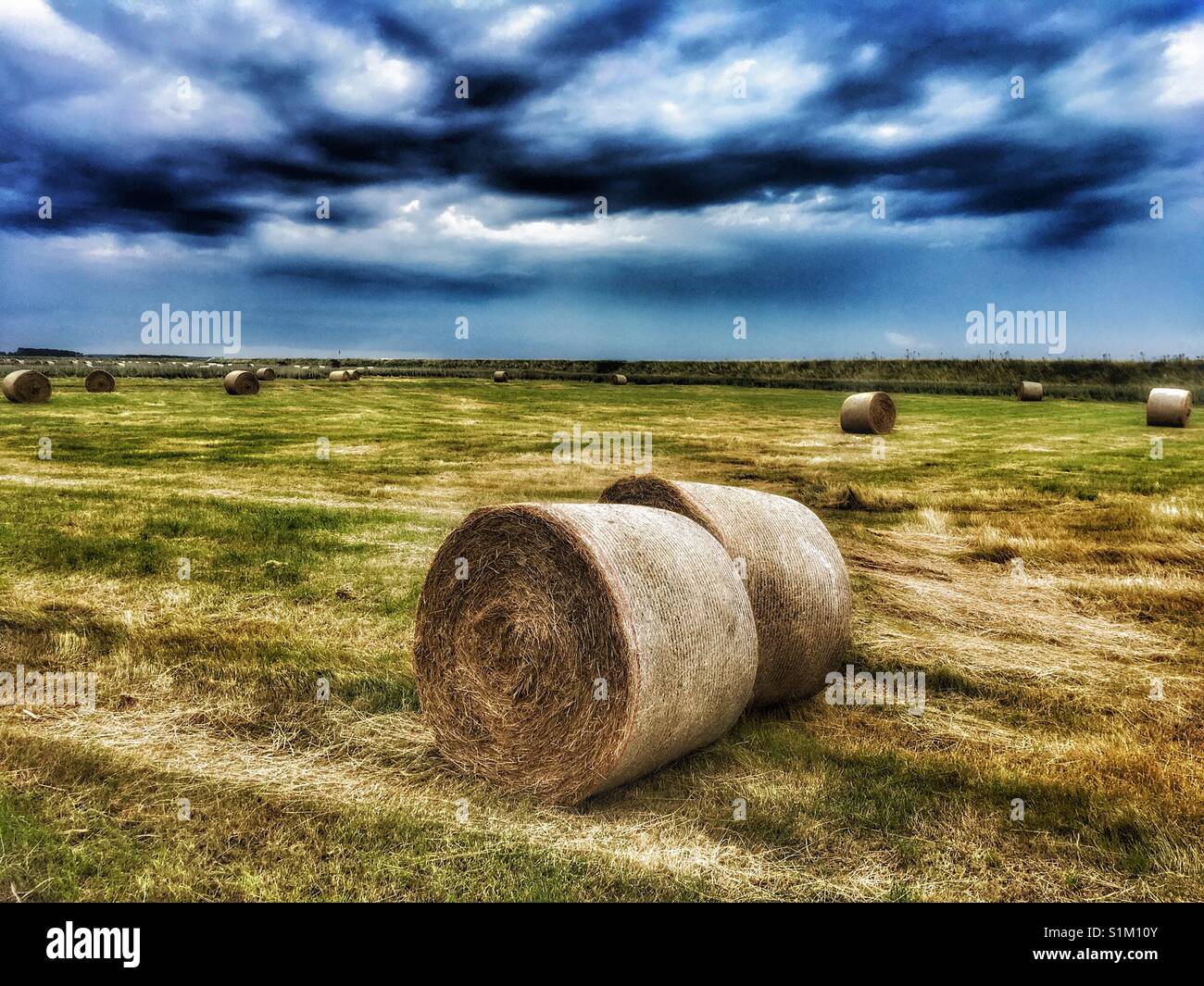 Hay bales, Shingle street, Suffolk, England Stock Photo - Alamy