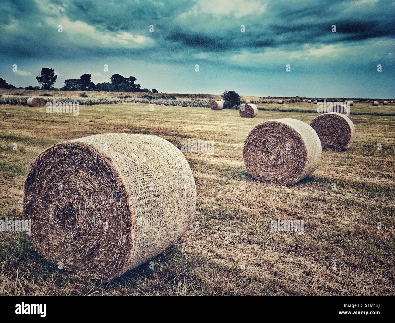 Suffolk bales hi-res stock photography and images - Alamy