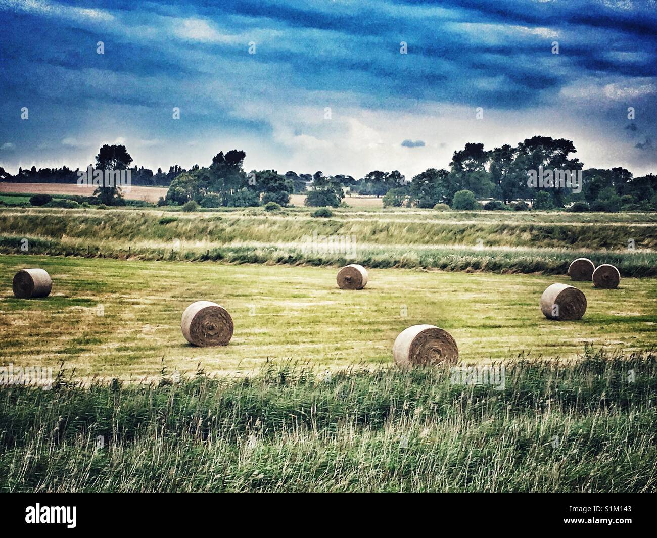 Hay bales, Shingle Street, Suffolk, England Stock Photo - Alamy