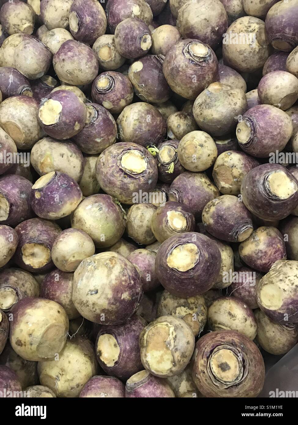 Rutabaga hi-res stock photography and images - Alamy