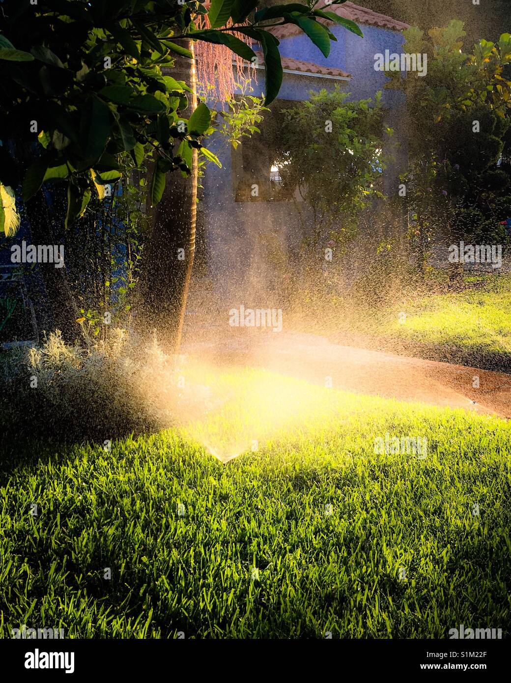 Sprinkles water hi-res stock photography and images - Alamy