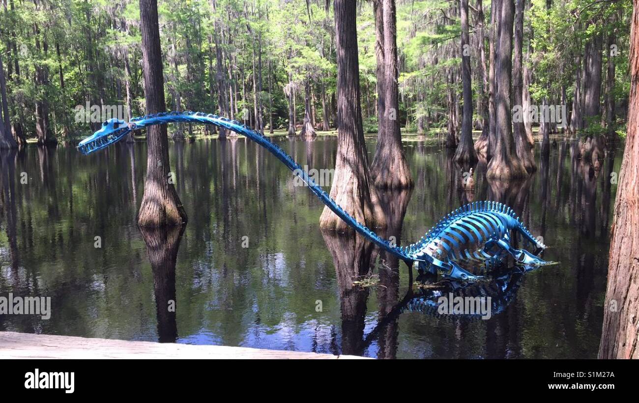 Dinosaur swamp hi-res stock photography and images - Alamy