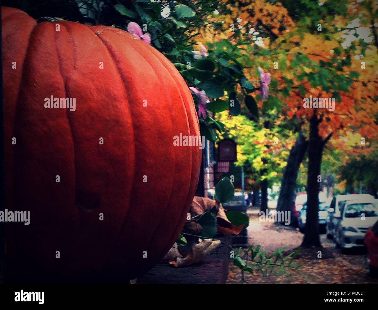 Fall harvest hi-res stock photography and images - Alamy