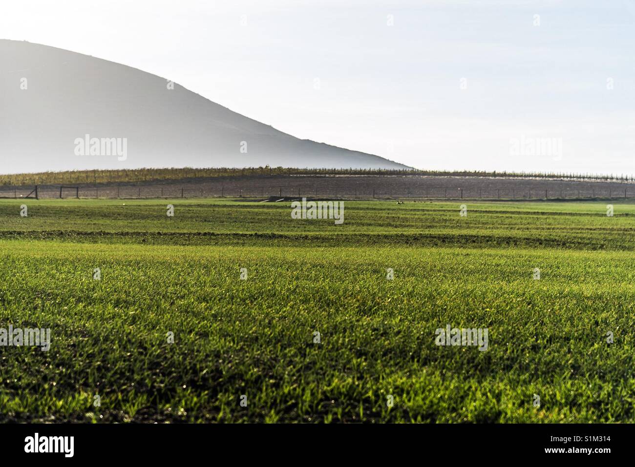South africa fields hi-res stock photography and images - Alamy