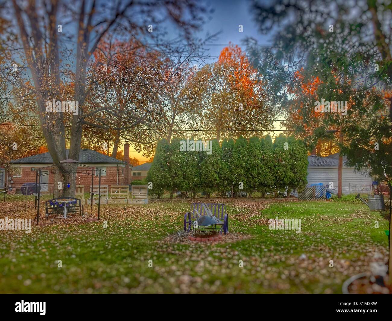 Autumn in my backyard Stock Photo - Alamy