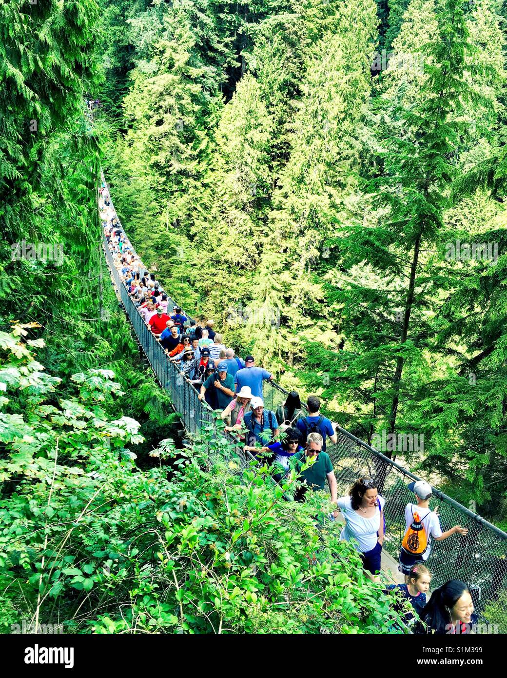 Capilano u hi-res stock photography and images - Alamy