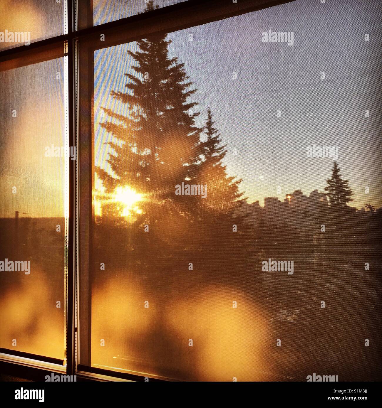 Morning light through window screen Stock Photo - Alamy