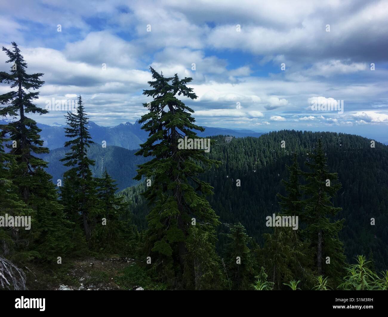 Grouse Mountain - Vancouver, B.C Stock Photo - Alamy