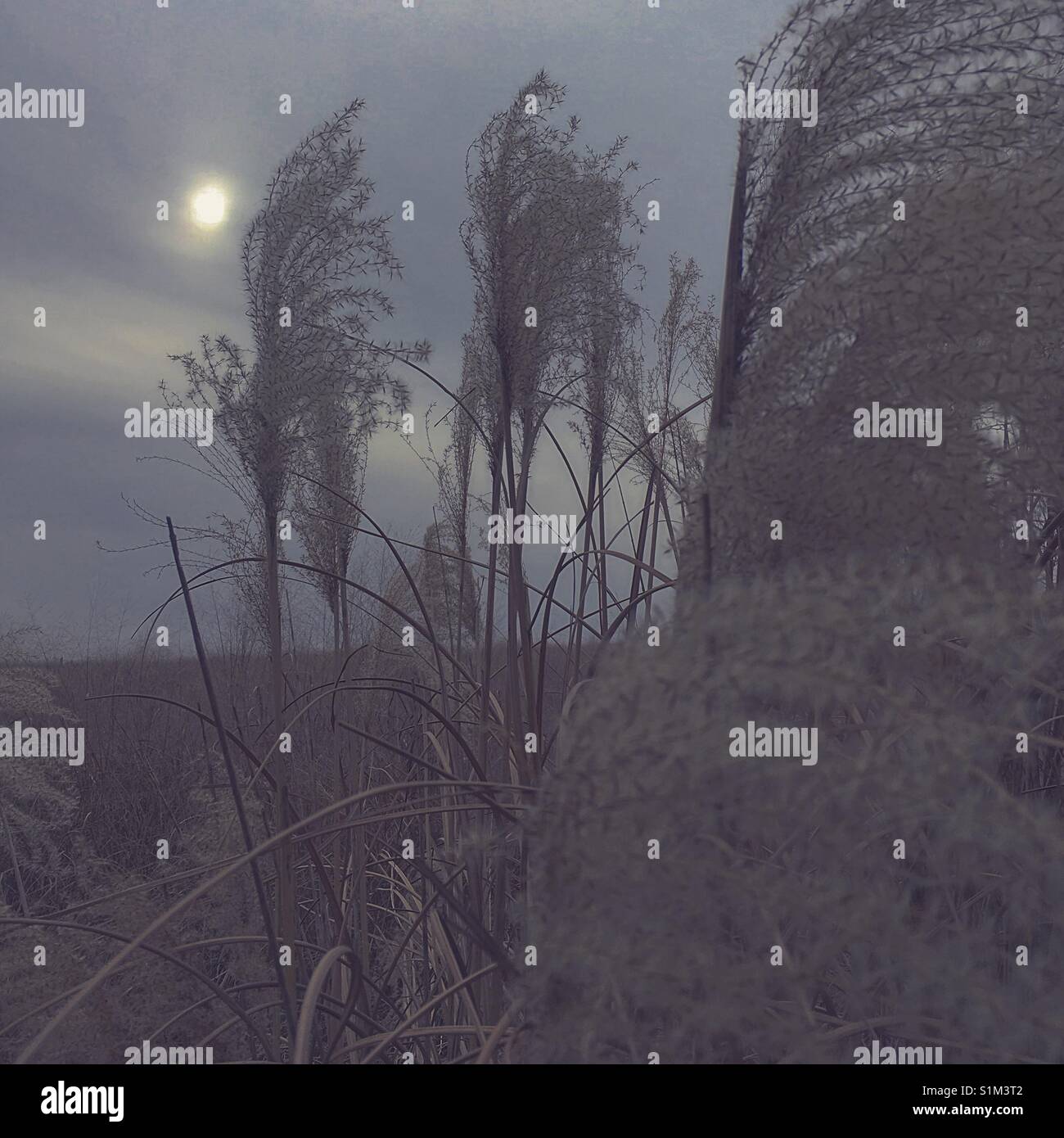 Visual poetry hi-res stock photography and images - Alamy