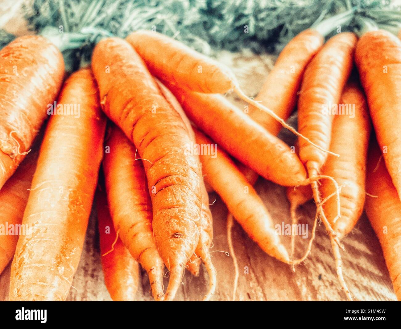 Bunches of carrots with carrot greens Stock Photo - Alamy