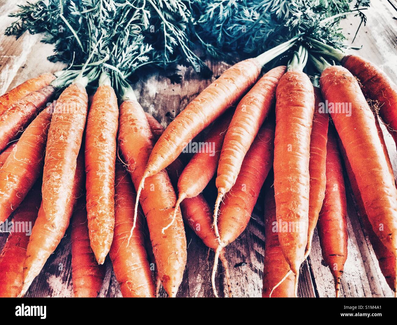 Bunches of carrots Stock Photo - Alamy
