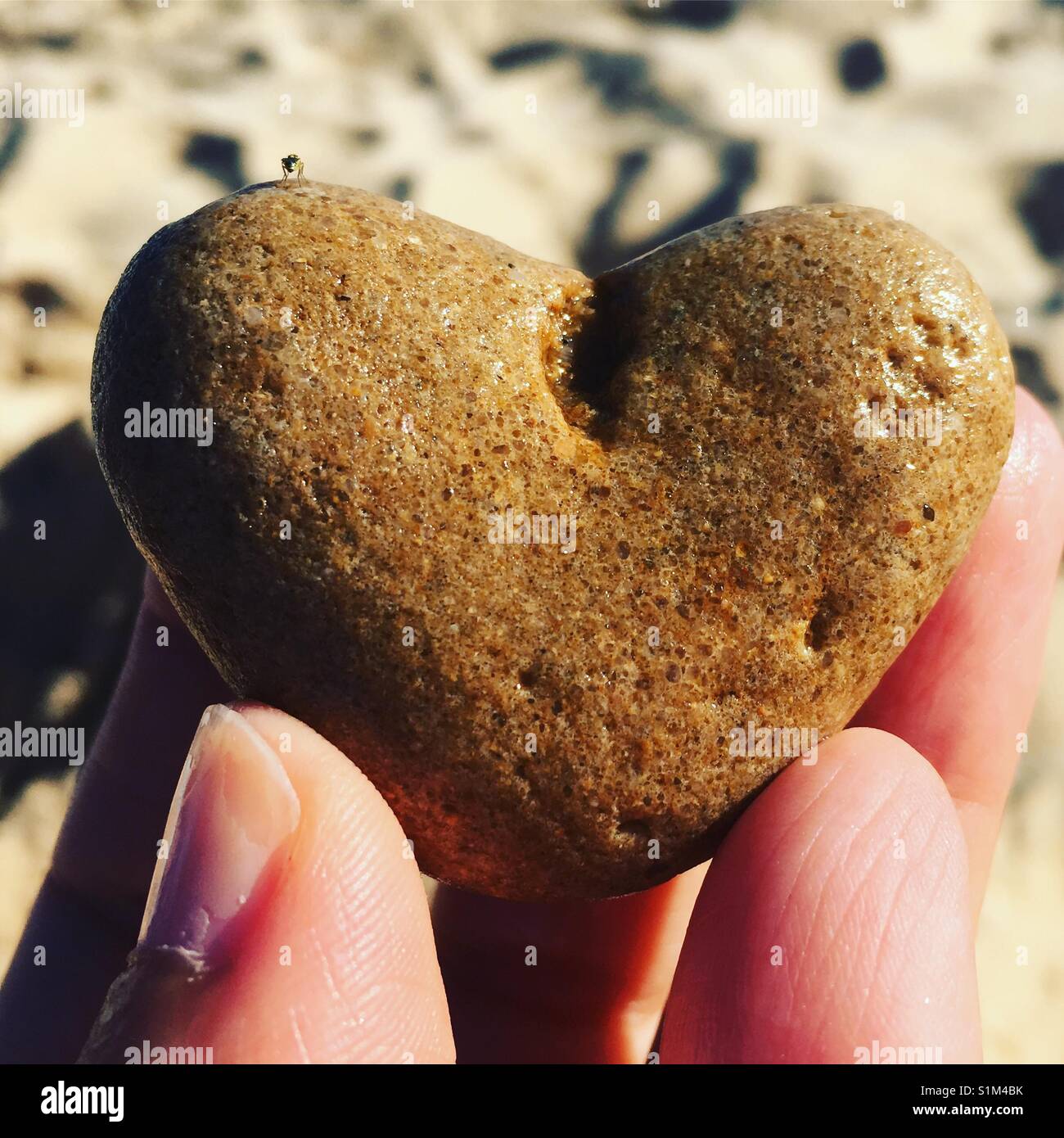 Hand holding stone heart hi-res stock photography and images - Alamy