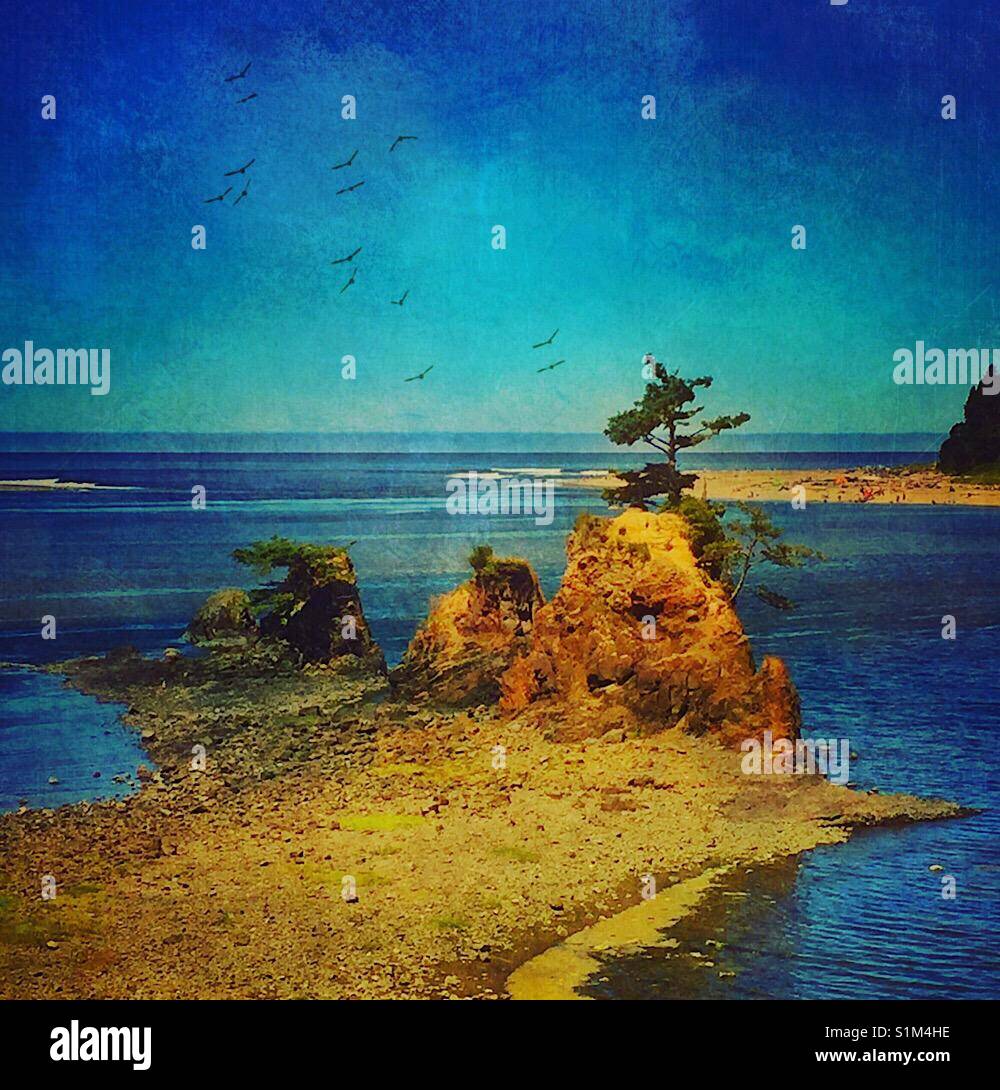 Siletz bay oregon hi-res stock photography and images - Alamy