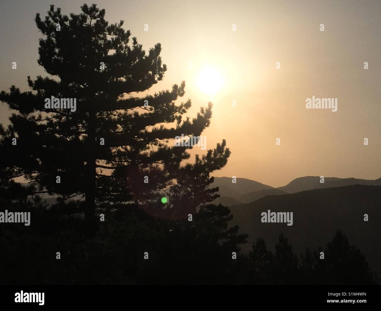 The tree and the sun hi-res stock photography and images - Alamy