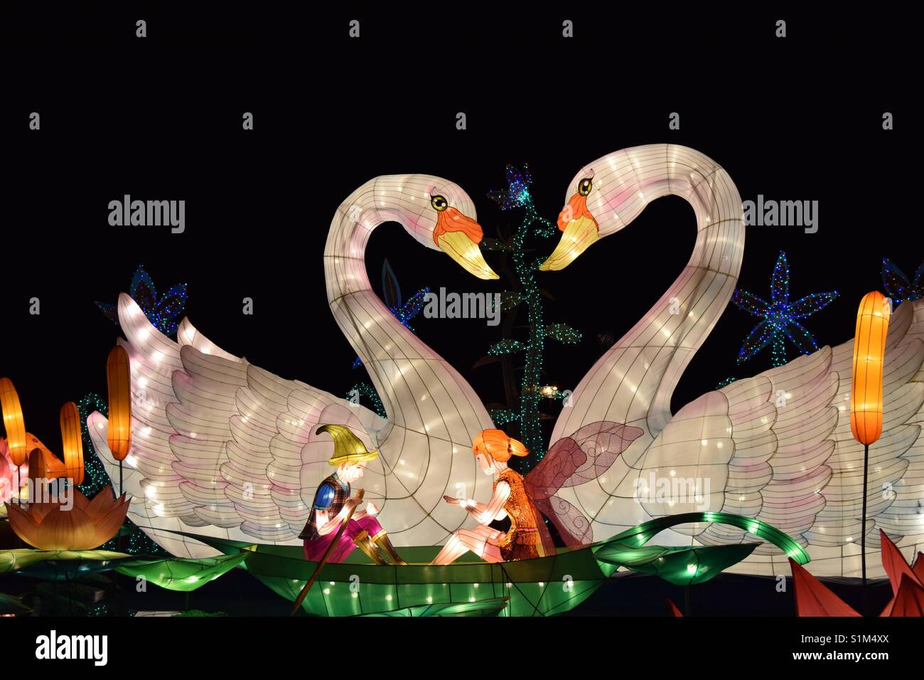 Creatures of the night High Resolution Stock Photography and Images - Alamy