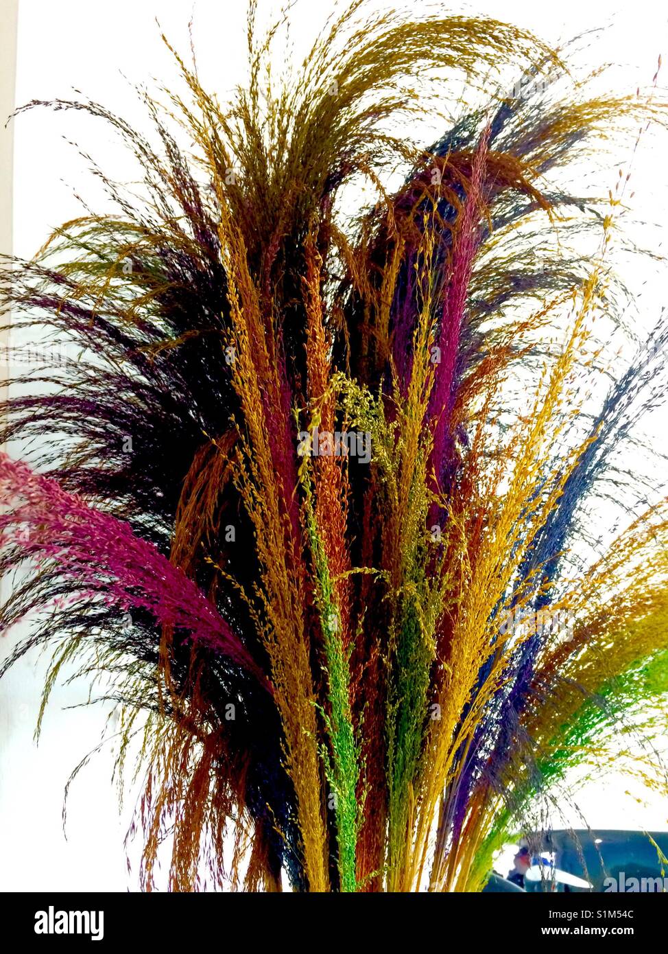 Salloon hi-res stock photography and images - Alamy