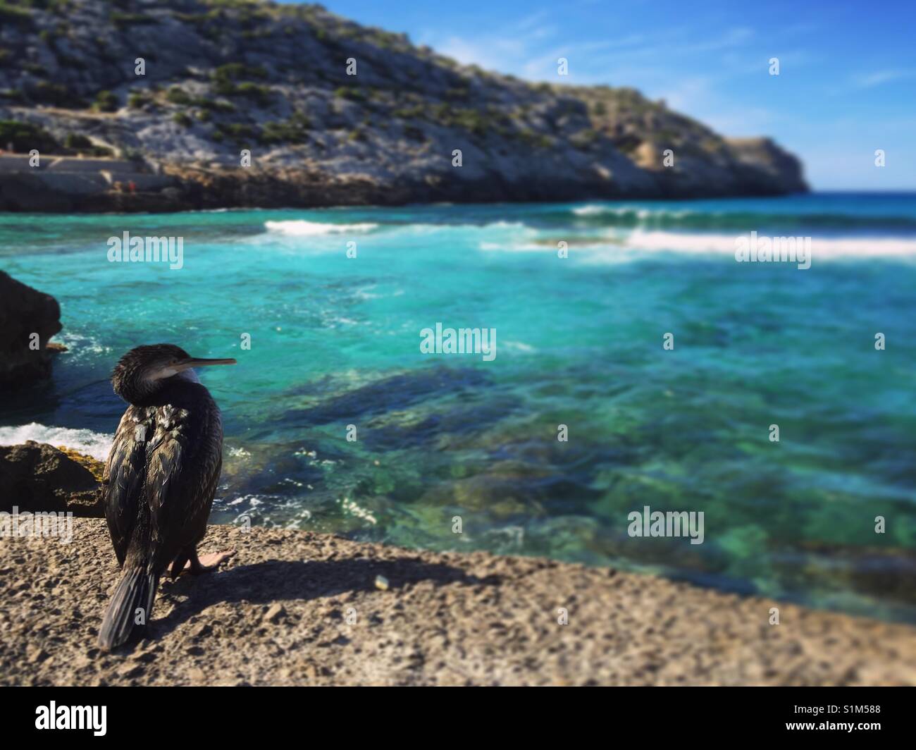 Mallorca menorca hi-res stock photography and images - Alamy