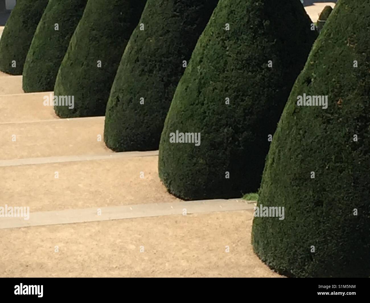 Topiary hi-res stock photography and images - Alamy