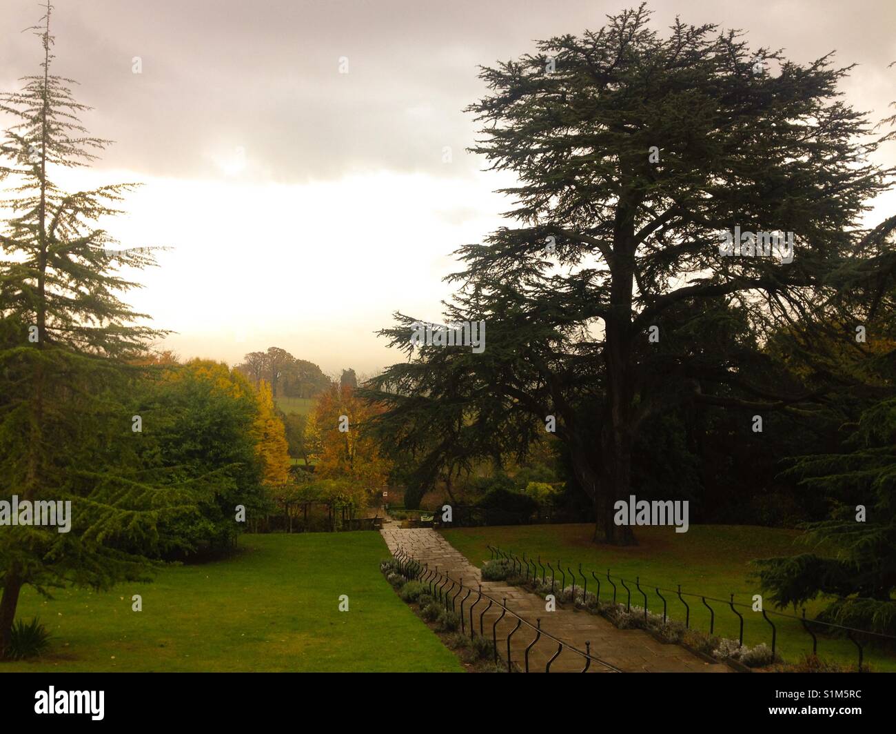 Path in the common by spring Stock Photo - Alamy