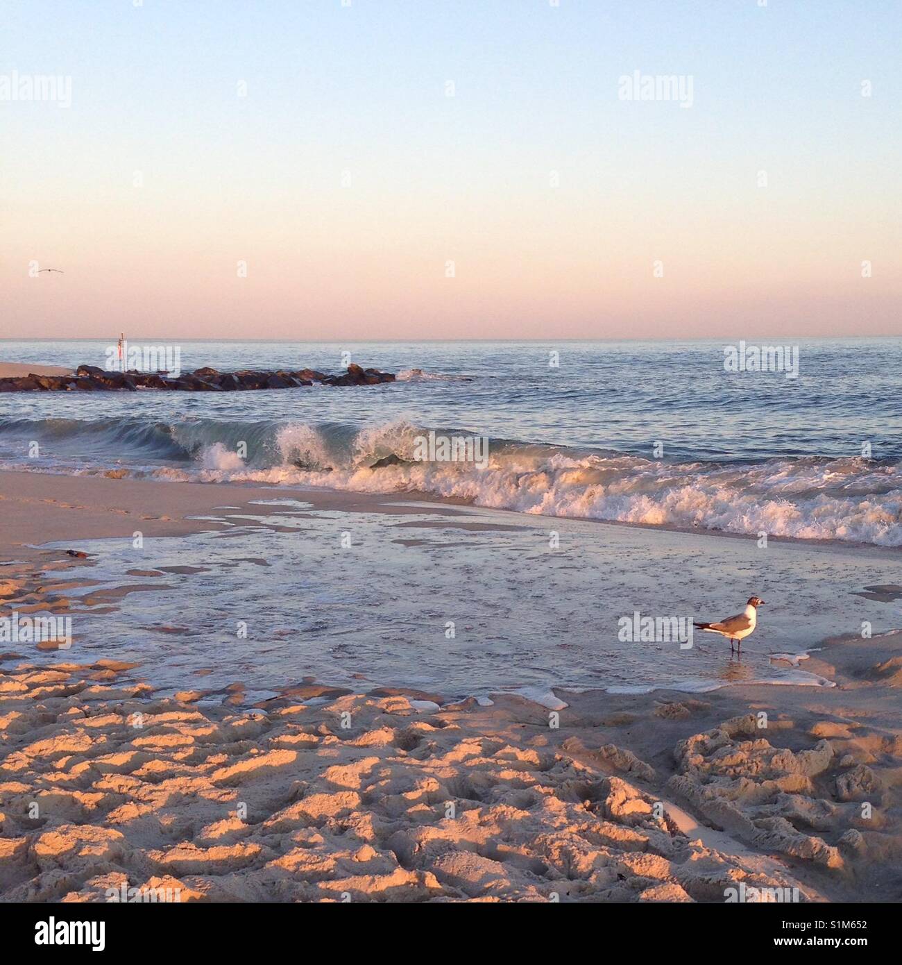 Beach at Cape May Stock Photo - Alamy