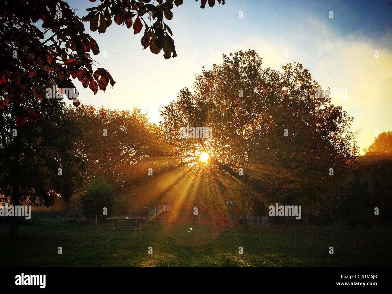 Morning golden glow hi-res stock photography and images - Alamy