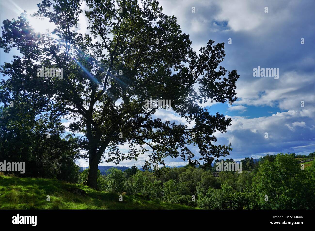 Shiny heaven hi-res stock photography and images - Alamy
