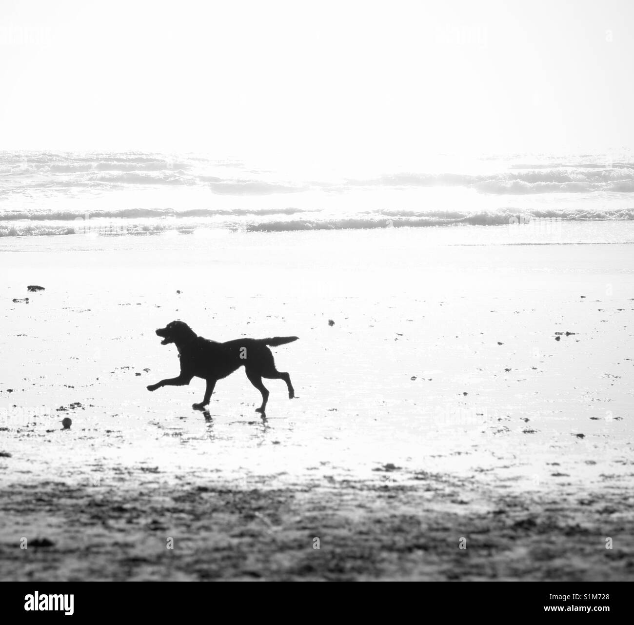 Picture of shadow Black and White Stock Photos & Images - Alamy