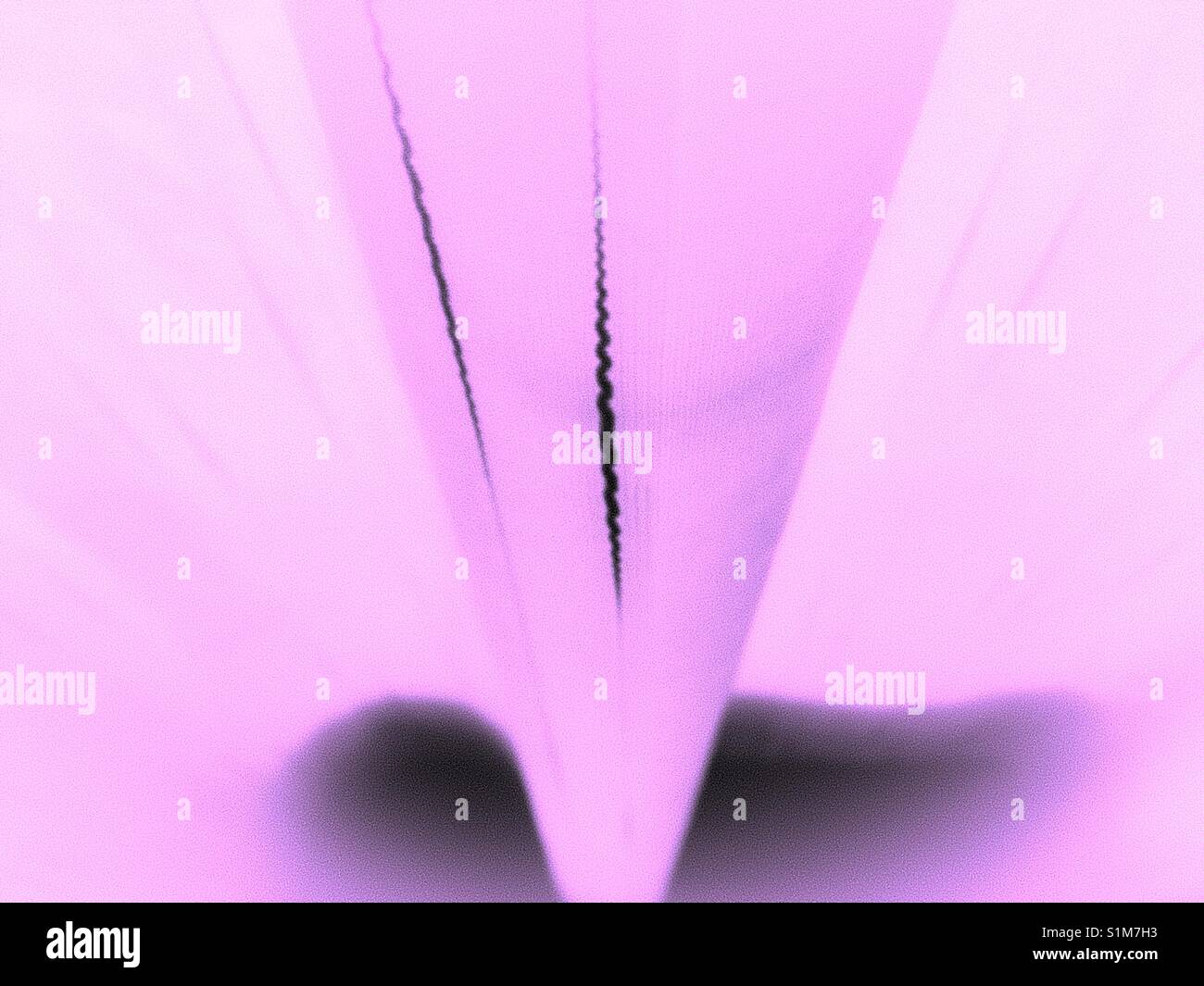 Curtain and its shadow from above Stock Photo - Alamy