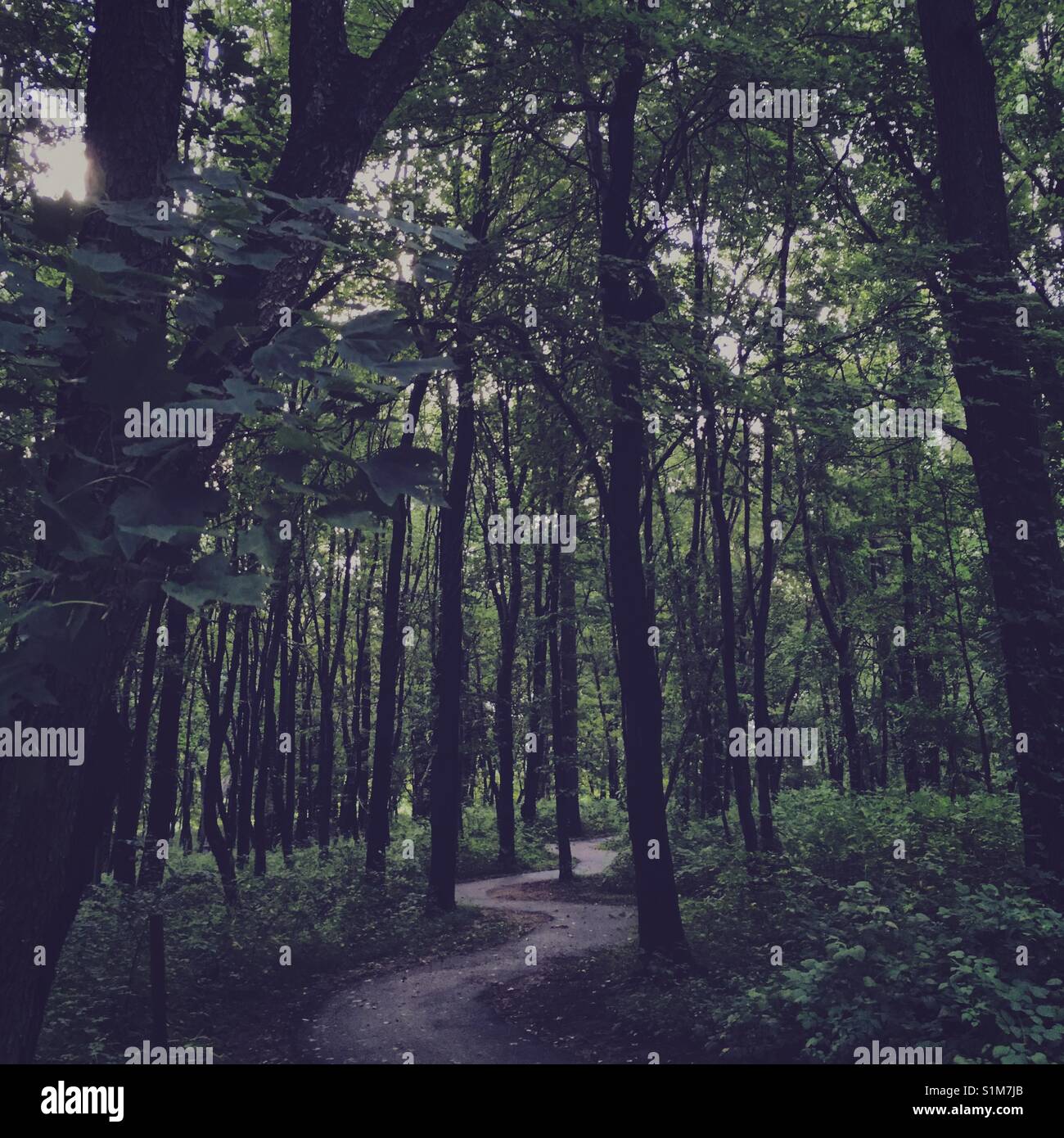 Windy Trail High Resolution Stock Photography and Images - Alamy