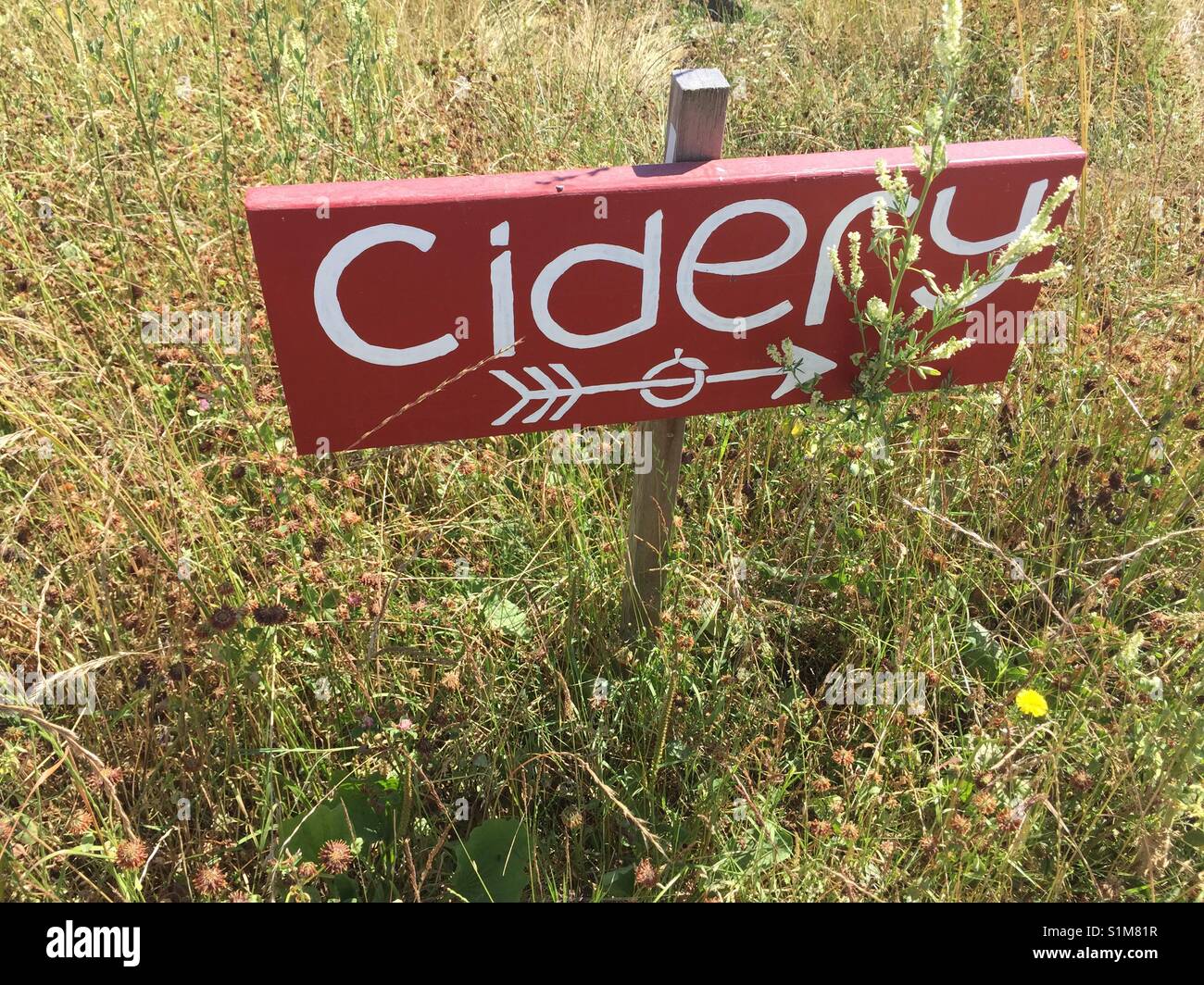 'Cidery' painted in white on handmade red wooden sign with arrow ...