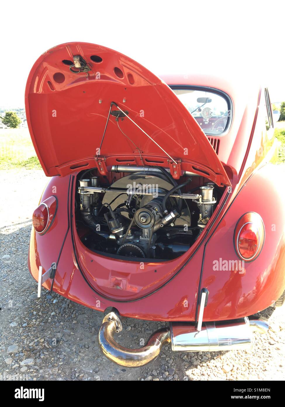 Volkswagen Beetle Lower Engine Cover at Callum Fowler blog