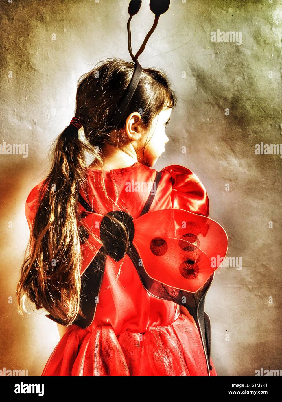 Ladybird clothing hi-res stock photography and images - Alamy