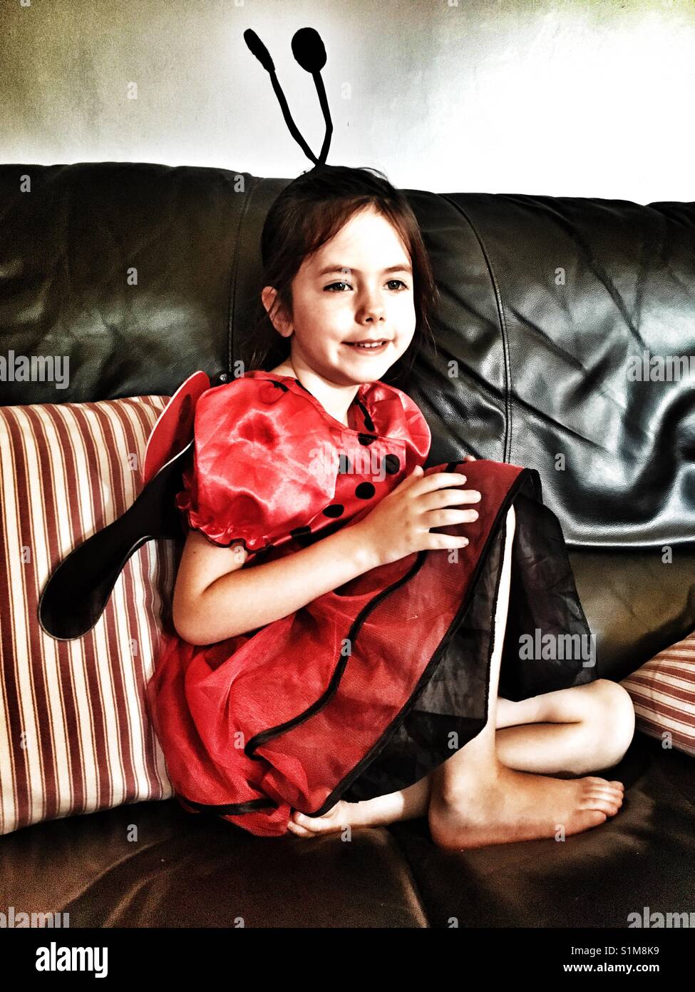 Girl wearing ladybird outfit Stock Photo - Alamy