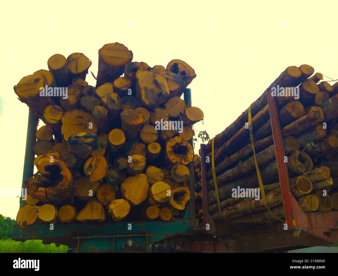 Logging trucks hi-res stock photography and images - Alamy