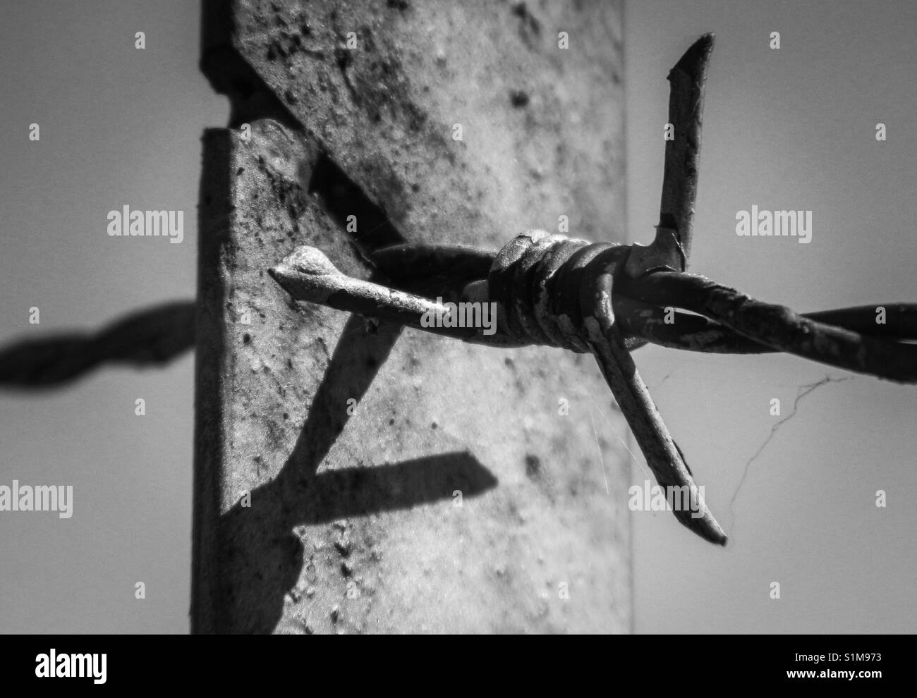 Shadow of barb wire hi-res stock photography and images - Alamy