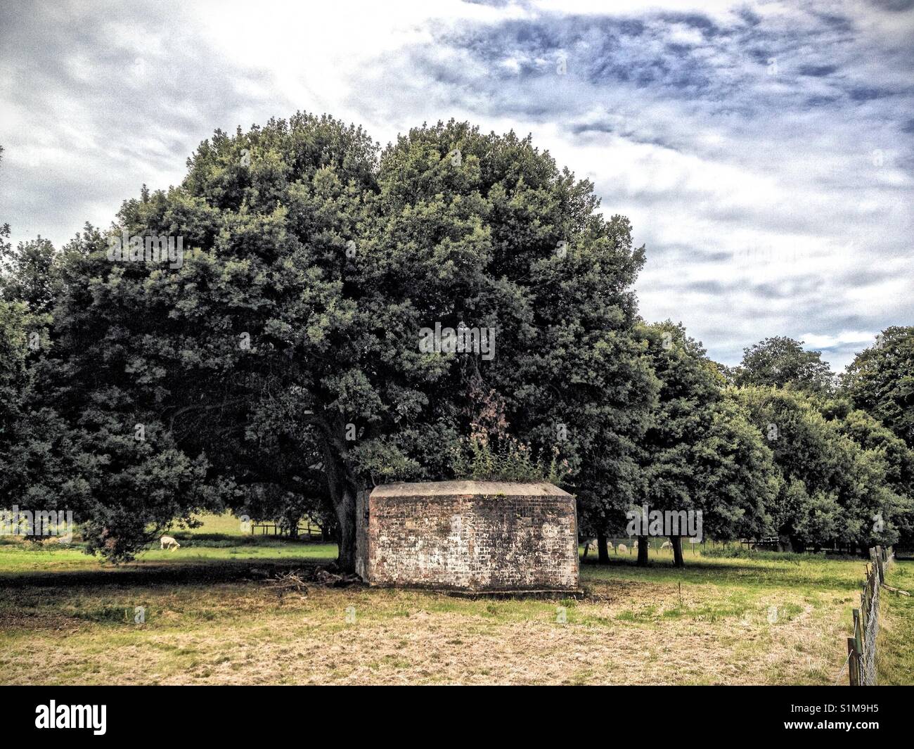Old wwii pill box hi-res stock photography and images - Alamy