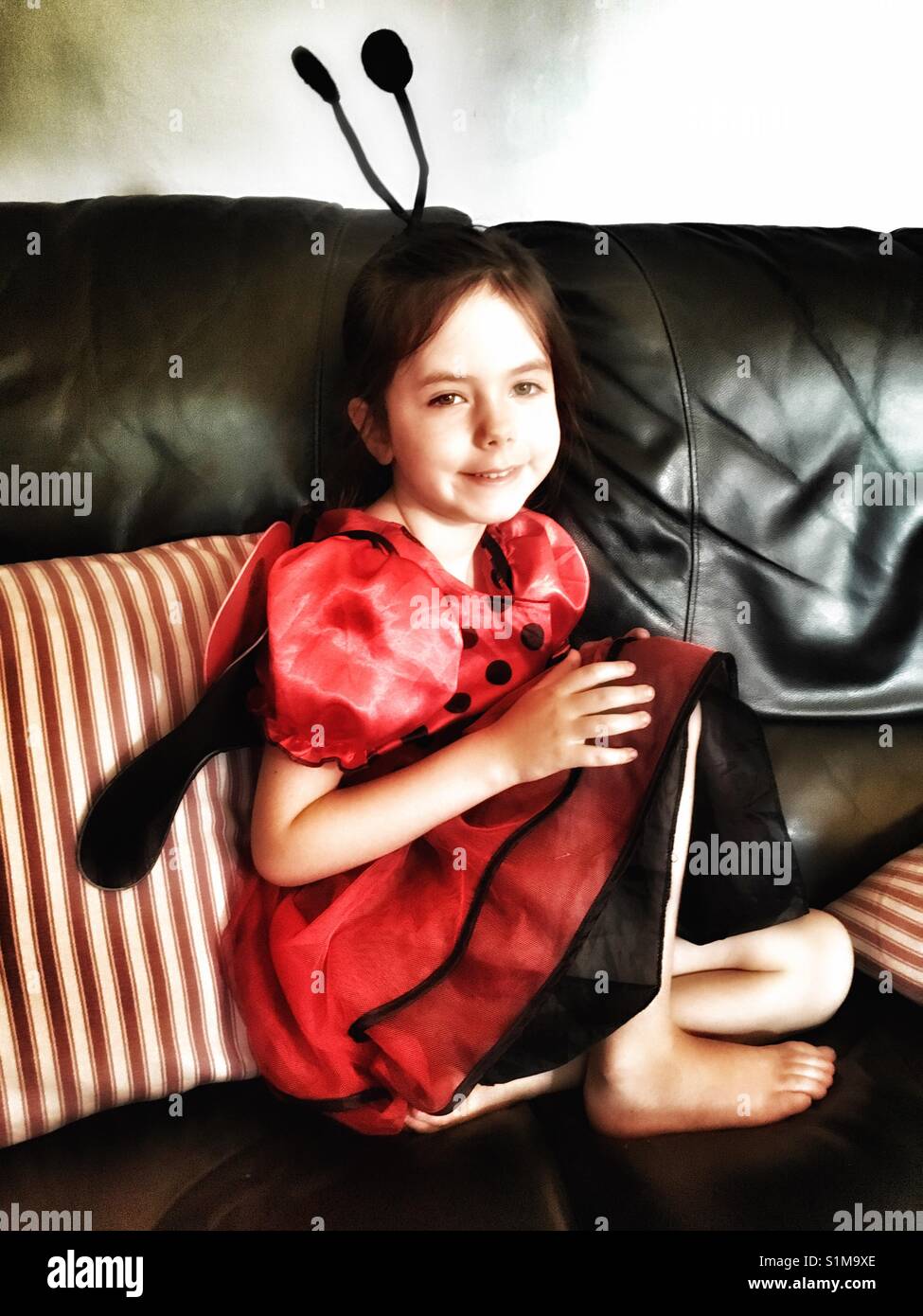 Girl wearing a ladybird outfit Stock Photo - Alamy